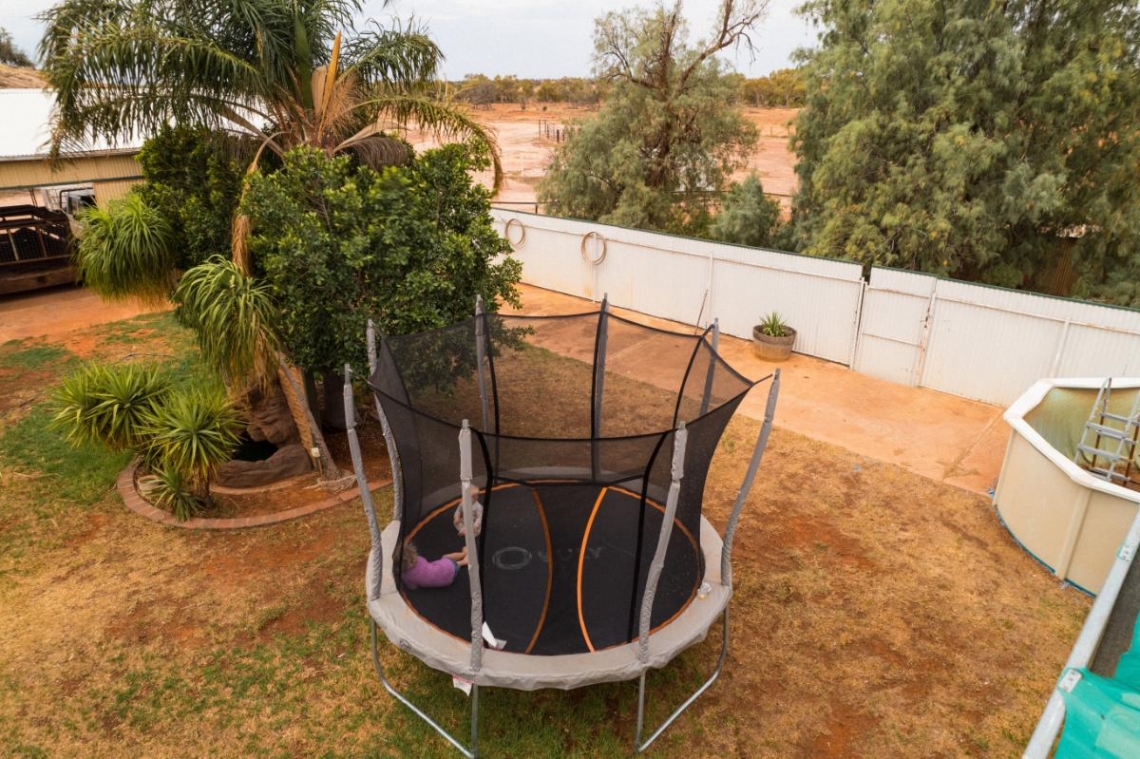 Trampoline Landscaping Ideas For Your Garden